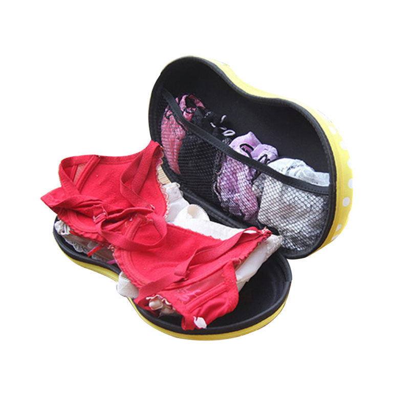 Cute Bra Storage Box - StorageDelight